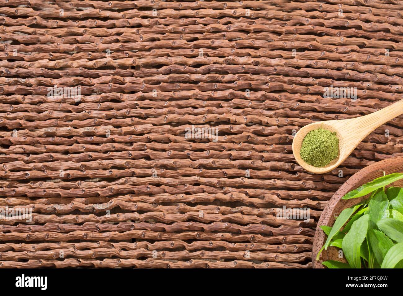 Natural sweetener in powder from stevia plant - Stevia rebaudiana. Top ...