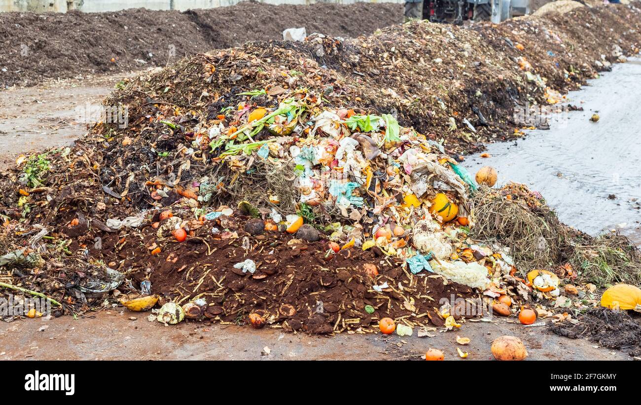 Collection point for organic waste at industrial compost plant Stock ...