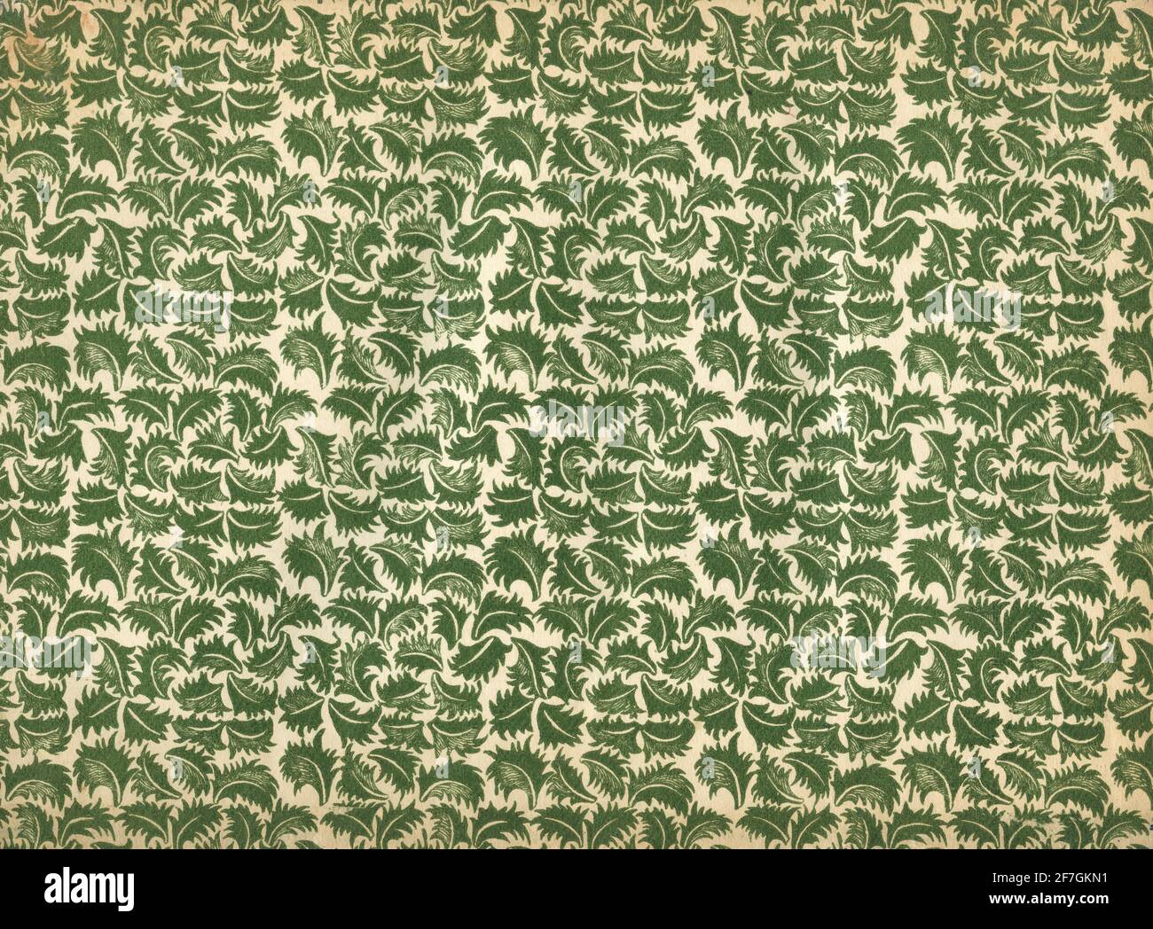 Used vintage wallpaper with green sharp thistle leaves - natural grainy ...