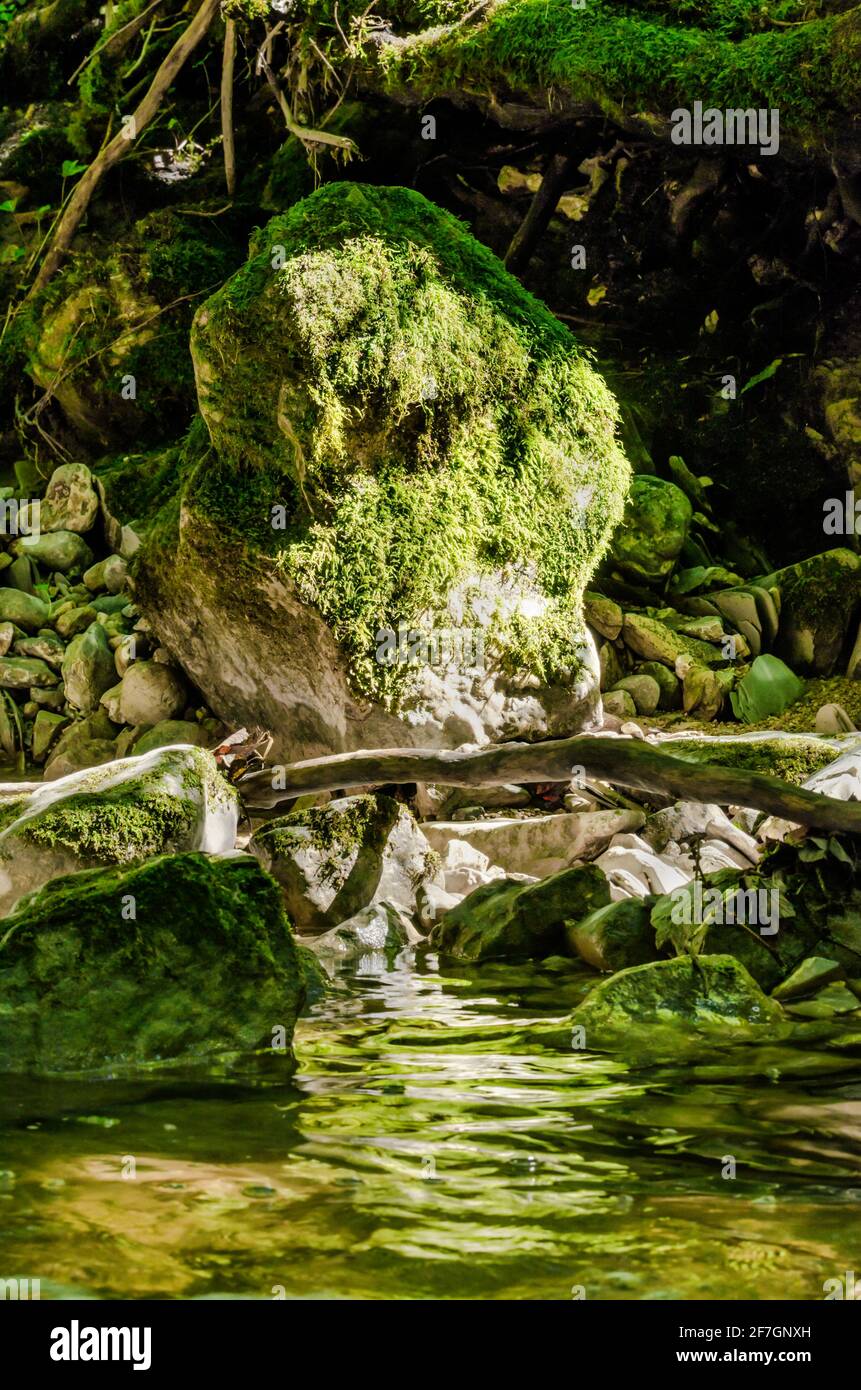 Bank of a river with stones hi-res stock photography and images - Alamy