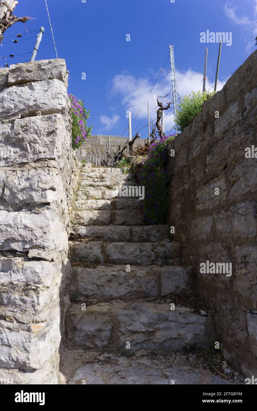 Stair hill hi-res stock photography and images - Alamy