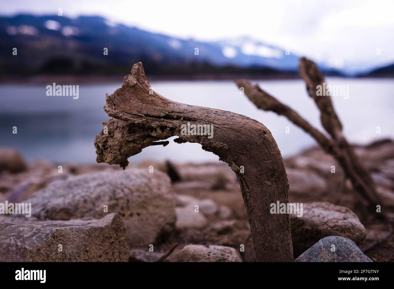 Bulle switzerland hi-res stock photography and images - Alamy