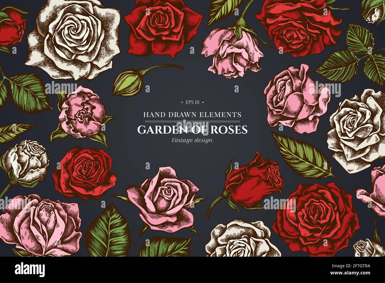 Floral design on dark background with roses Stock Vector Image & Art ...