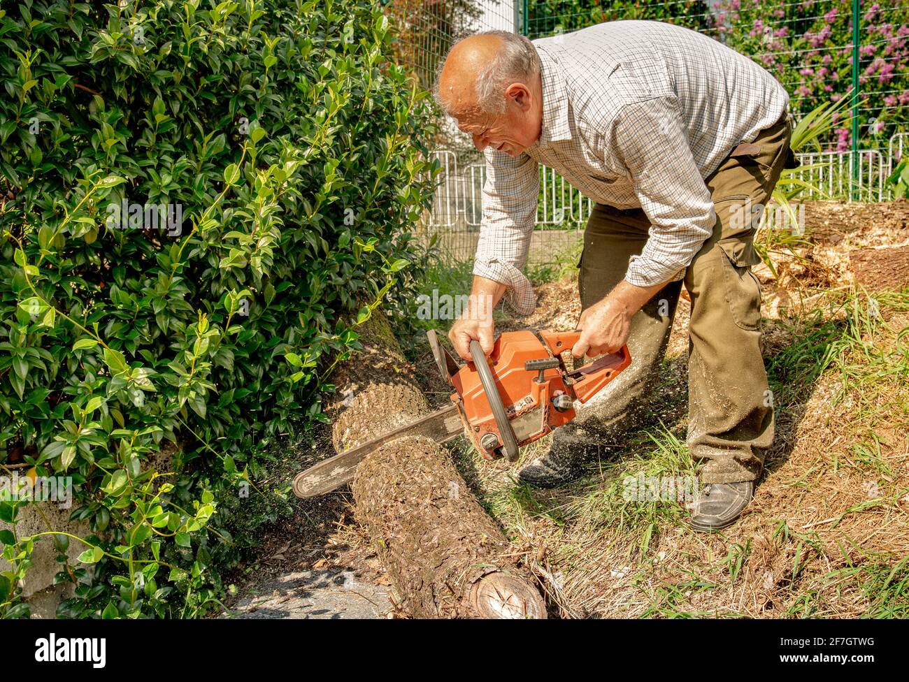 Man cutting tree hi-res stock photography and images - Alamy