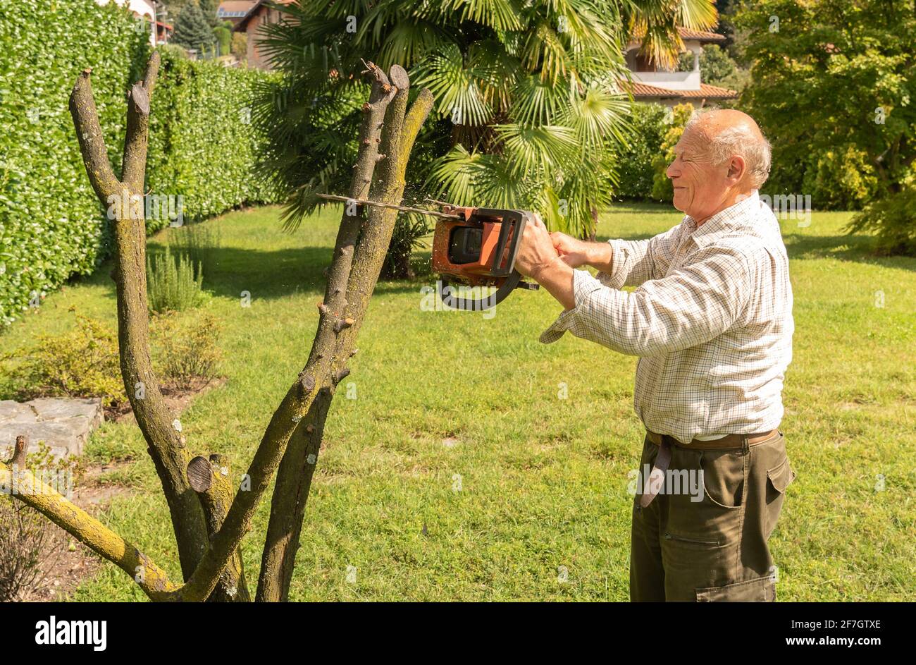 Man cutting tree hi-res stock photography and images - Alamy