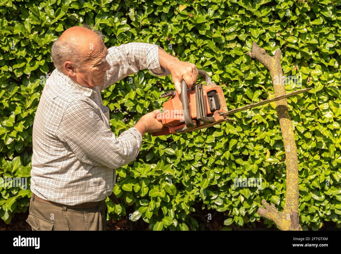 Man cutting tree hi-res stock photography and images - Alamy