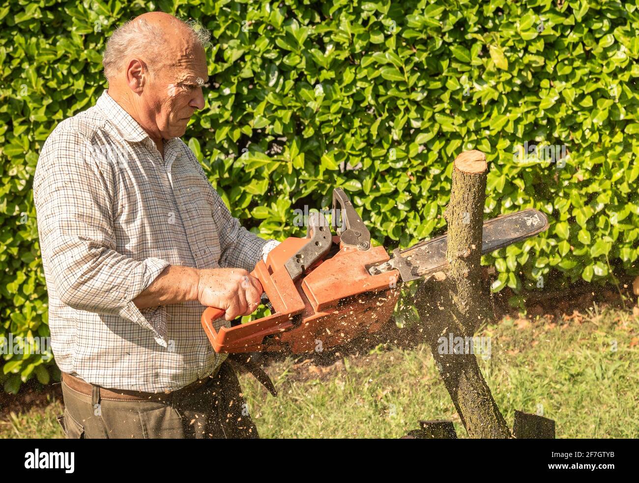 Sawing timber garden hi-res stock photography and images - Alamy