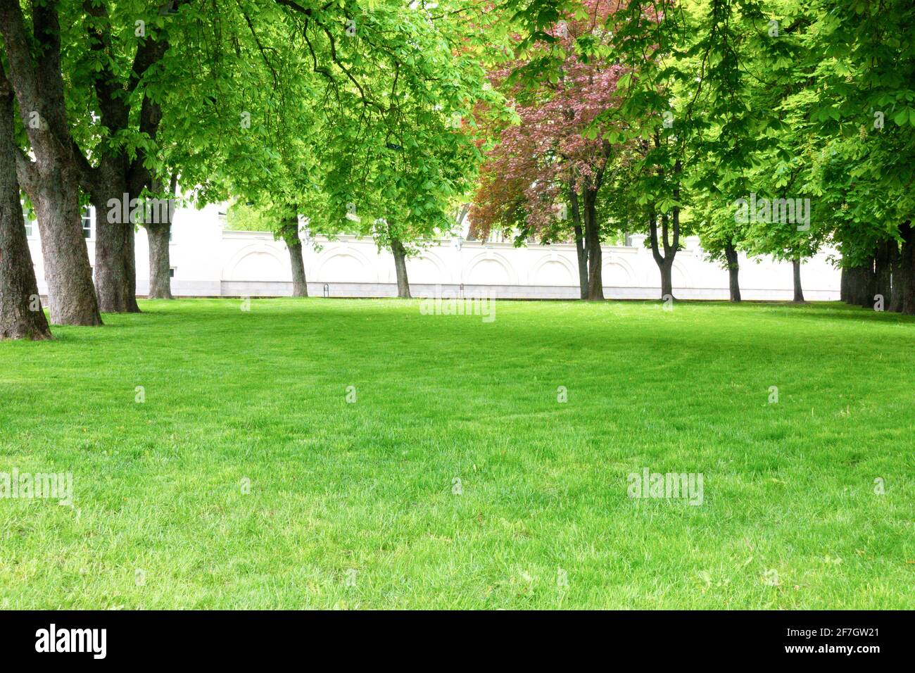 Green lawn with trees in city park Stock Photo - Alamy