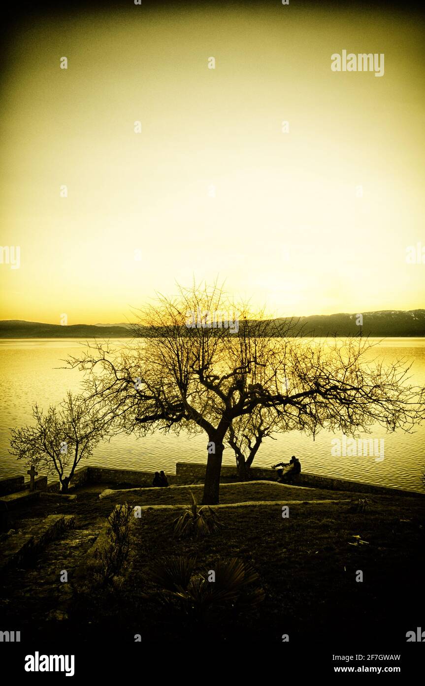 Beautiful sunset behind a tree hi-res stock photography and images - Alamy