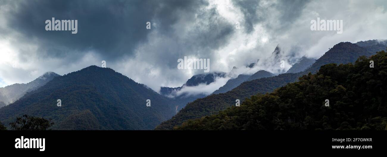 Amazon Cloud Forest in Peru, panoramic view of the tropical jungle on ...