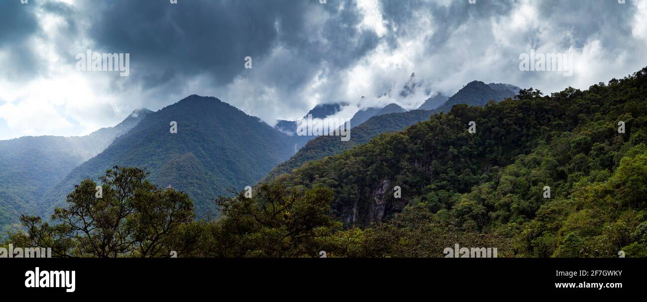 Amazon Cloud Forest in Peru, panoramic view of the tropical jungle on ...