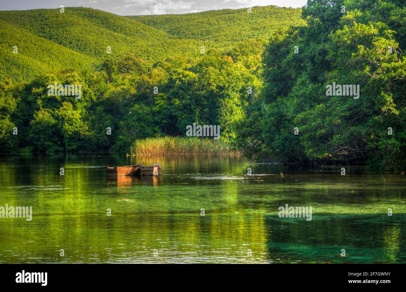 Boat among trees hi-res stock photography and images - Alamy