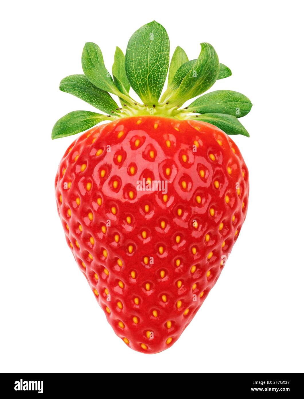 One strawberry isolated on white background Stock Photo - Alamy