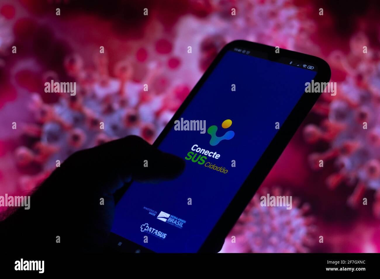 Sus logo hi-res stock photography and images - Alamy