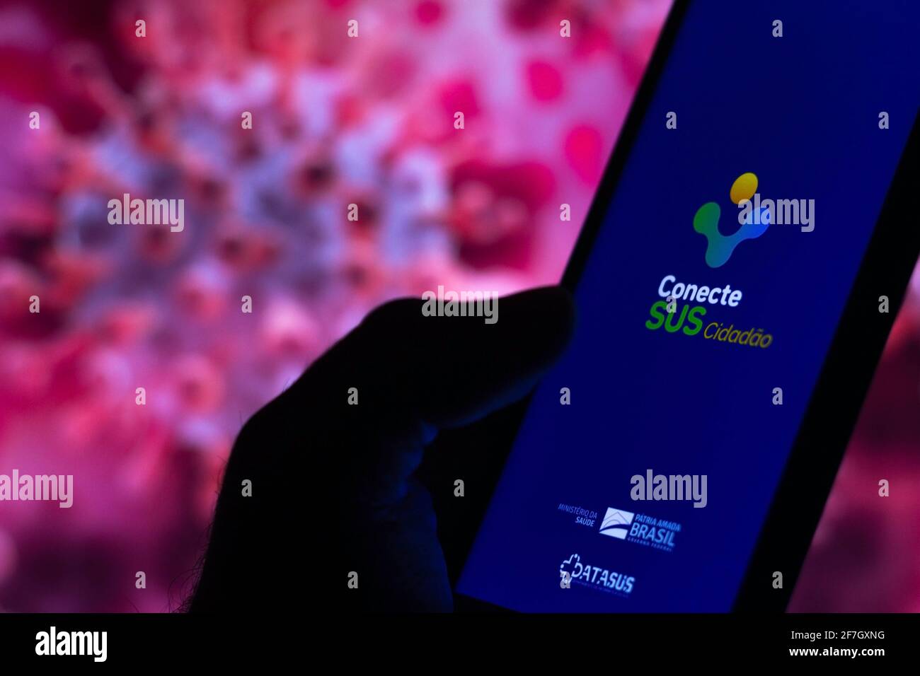 Sus logo hi-res stock photography and images - Alamy