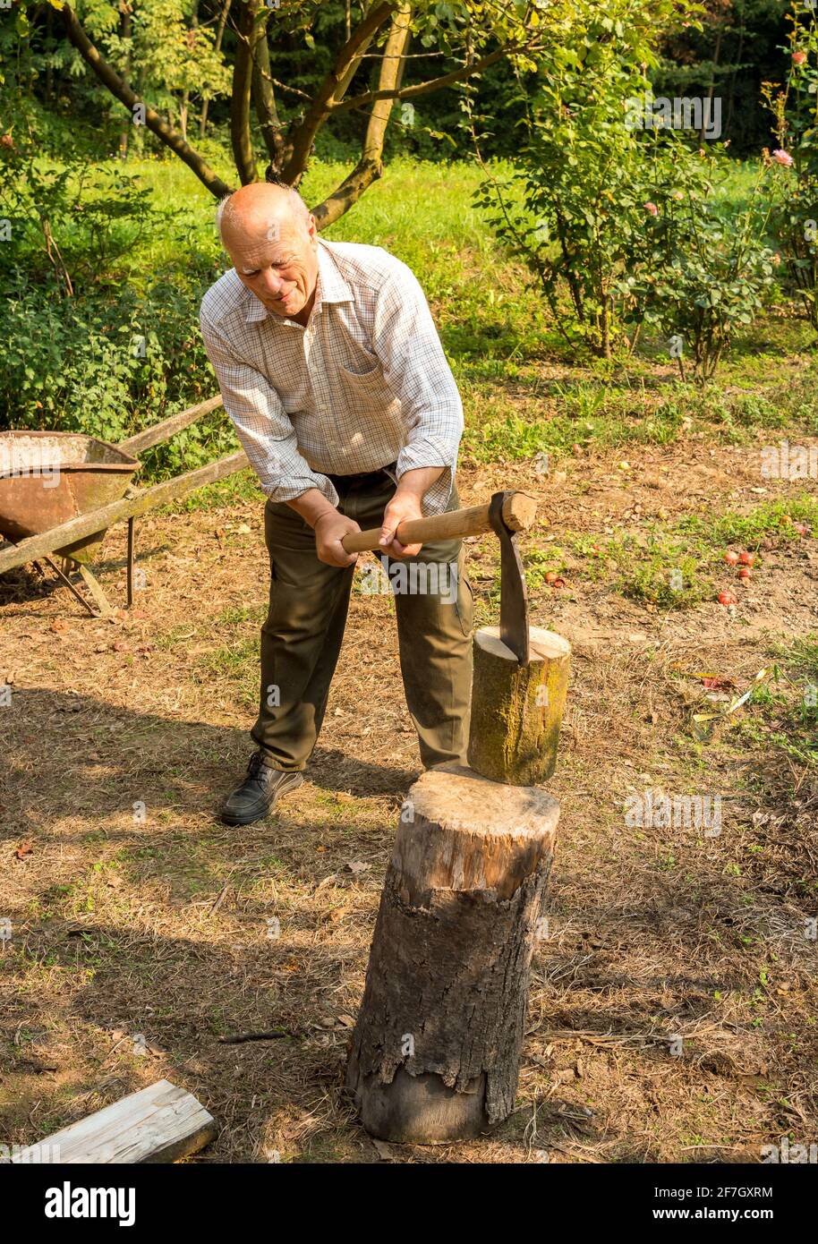 Senior man splitting wood with ax in the garden Stock Photo - Alamy