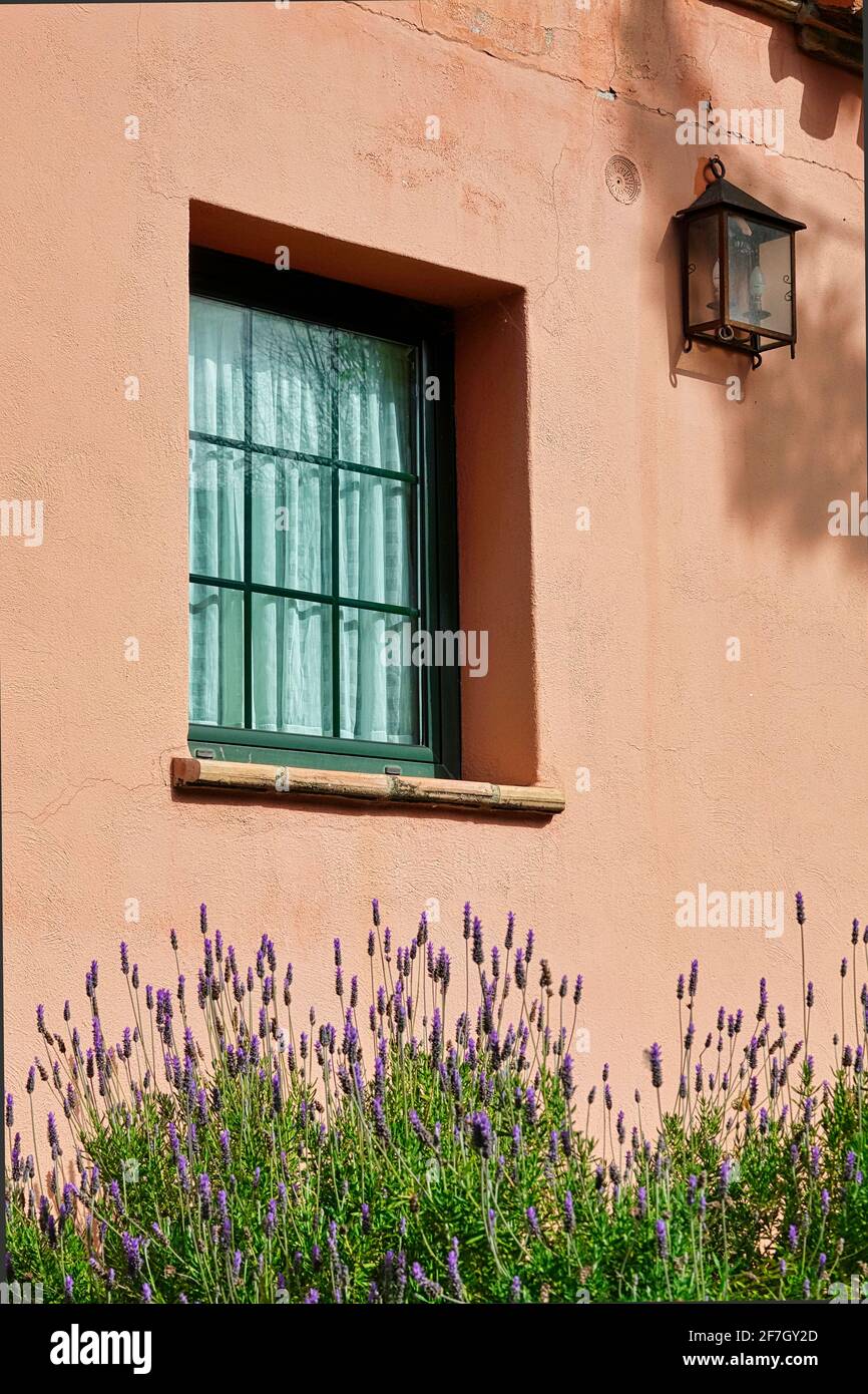 Soft colored window hi-res stock photography and images - Alamy