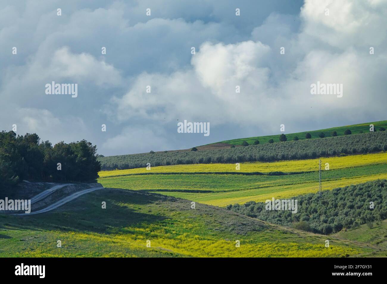 Agriculture in summer trees in rural areas hi-res stock photography and ...