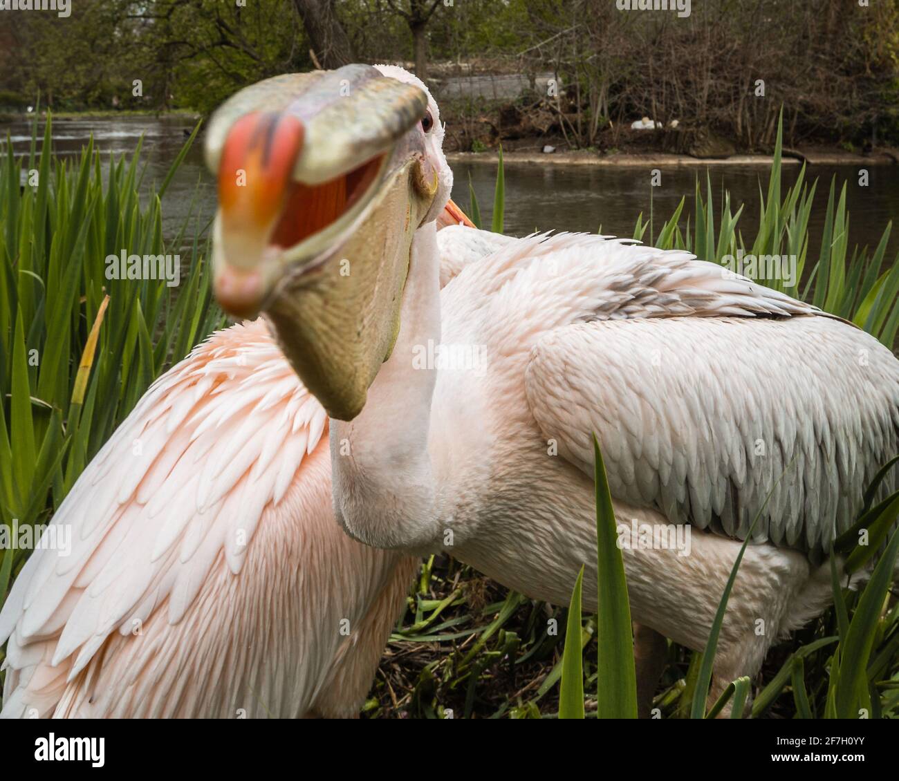 Seemingly smiling hi-res stock photography and images - Alamy