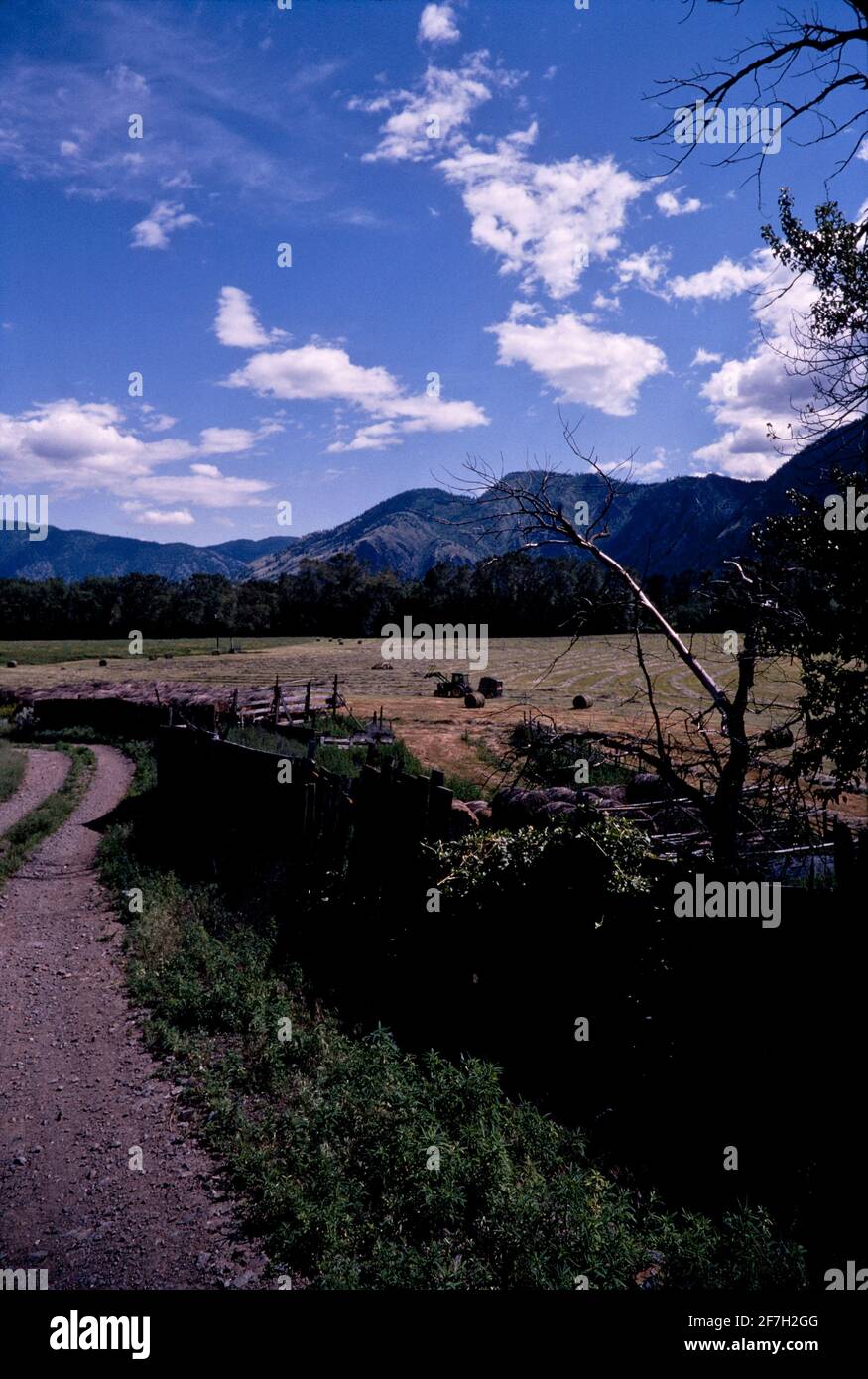 Oliver and Okanagan Falls area British Columbia-Okanagan Valley, Canada ...