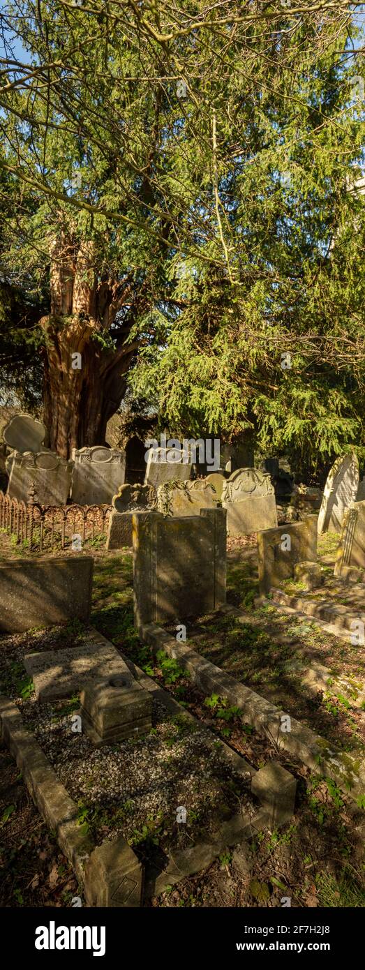 Graveyard (cemetery), no clearly defined gravestones in bright spring ...