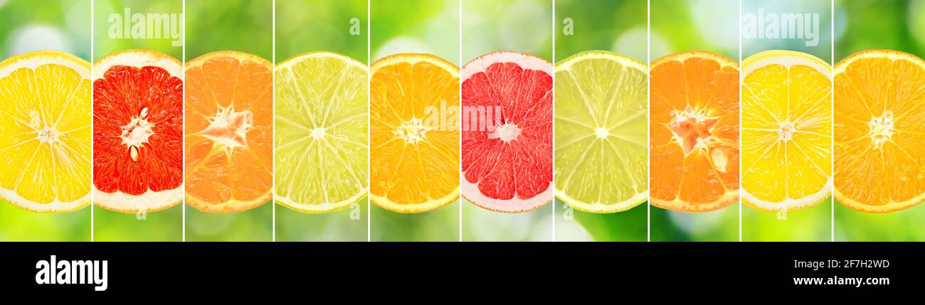 Halves bright citrus fruits separated by vertical lines on green ...