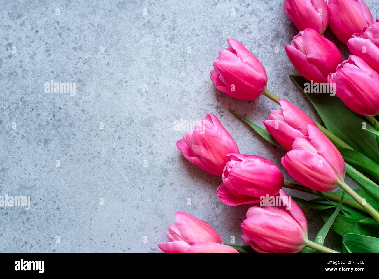 Gray tulip hi-res stock photography and images - Alamy