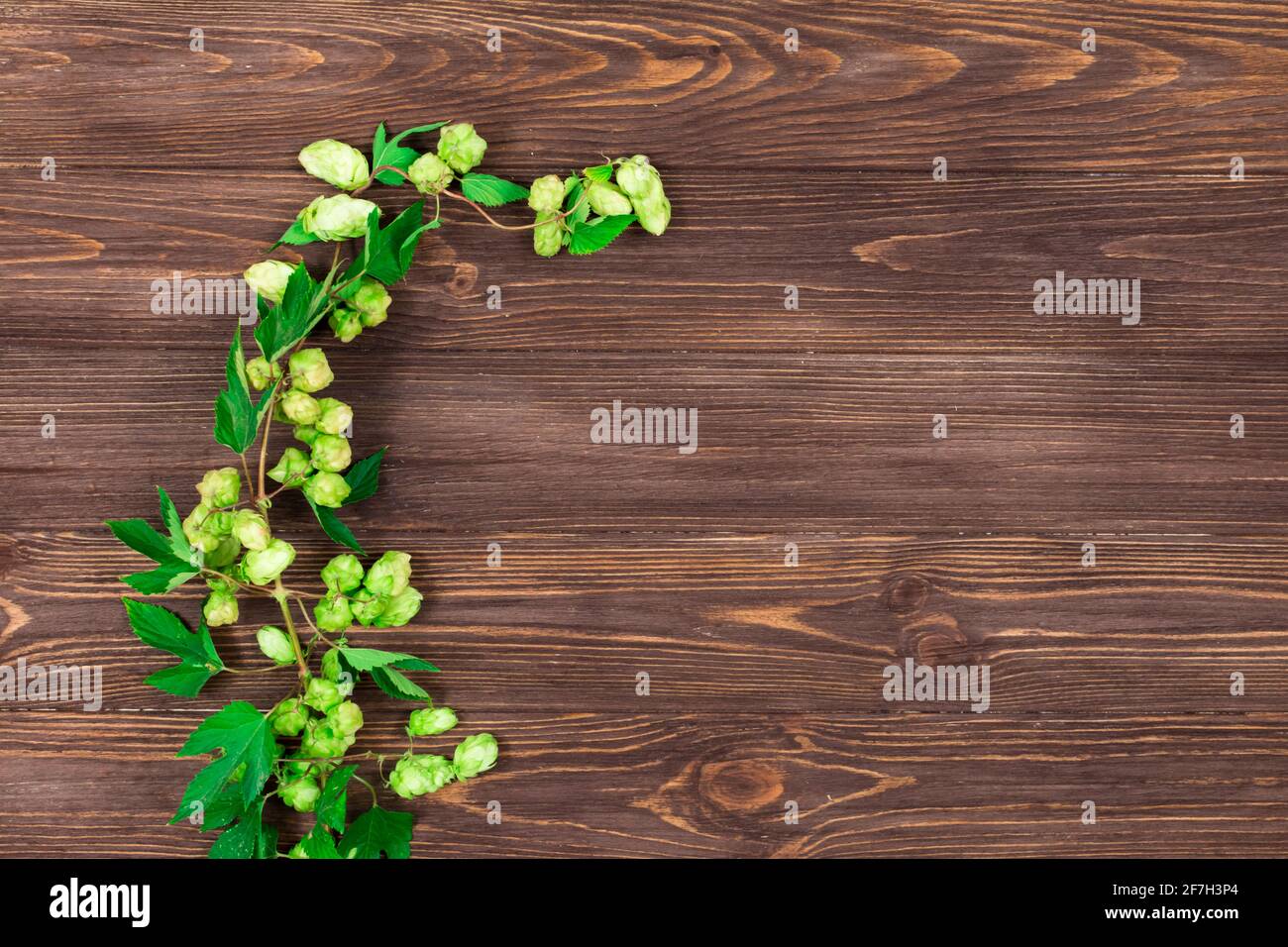 Hop branch on a dark wooden table. Place for an inscription. Ingredient ...