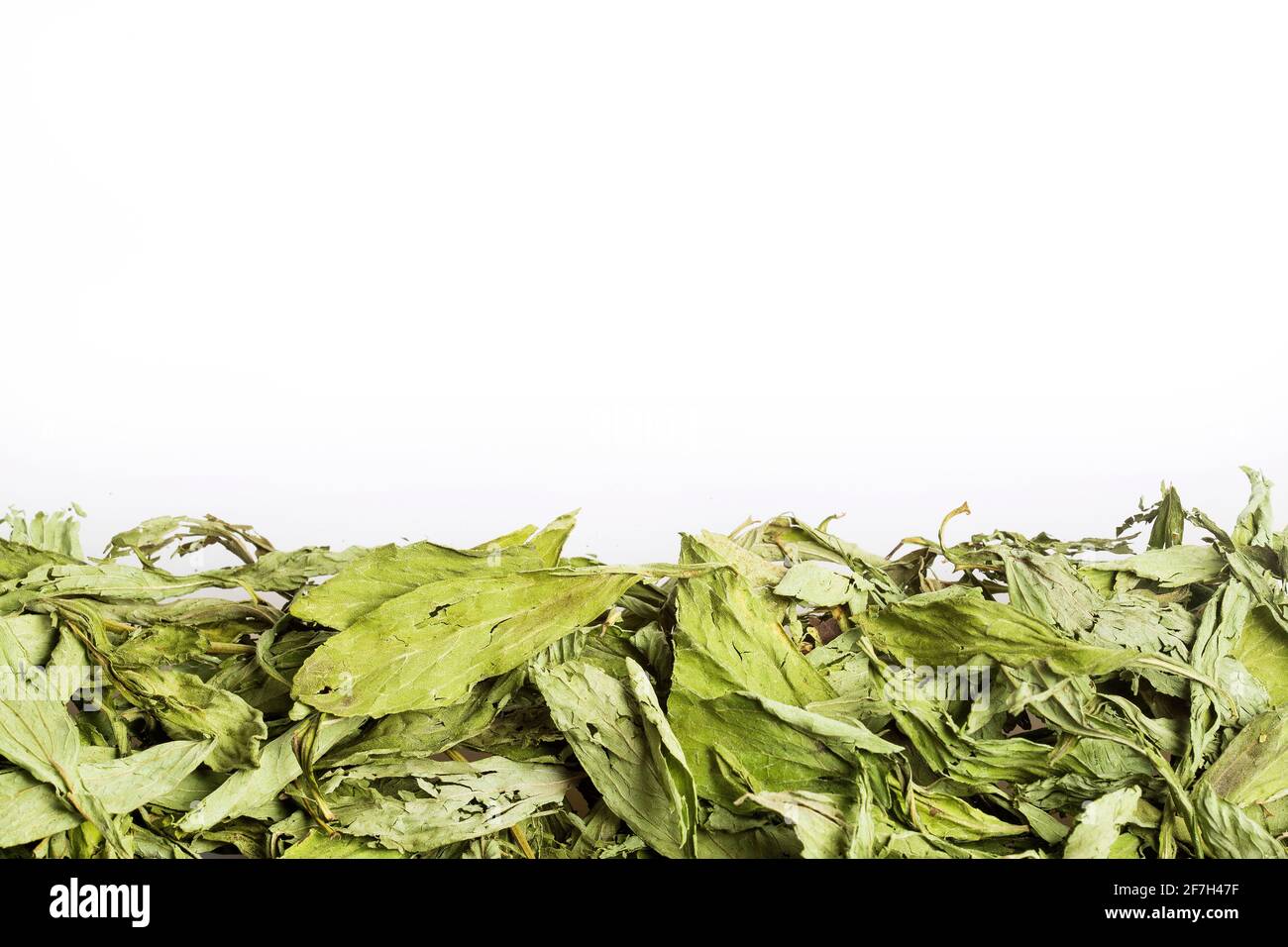 Dry stevia leaves - Stevia rebaudiana. Top view Stock Photo - Alamy