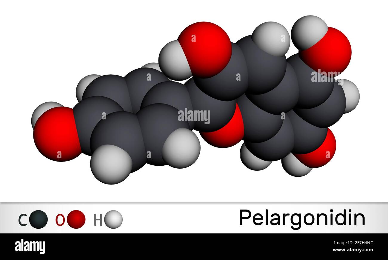 Pelargonidin molecule. It is anthocyanidin cation, plant pigment ...