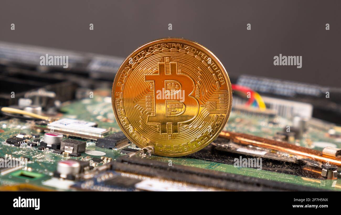 gold coin cryptocurrency bitcoin on chip, cryptocurrency concept ...