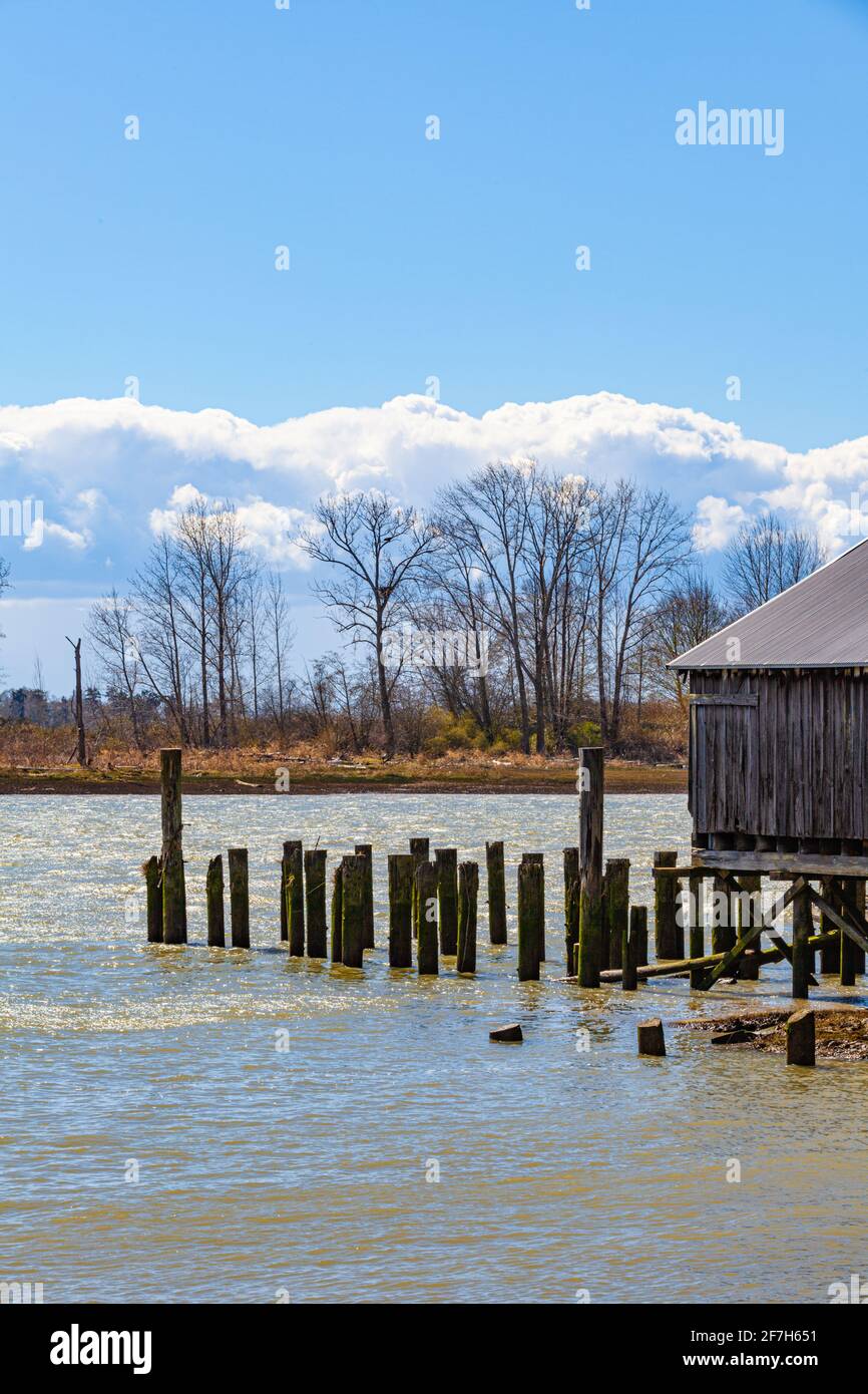 On water in estuary hi-res stock photography and images - Alamy