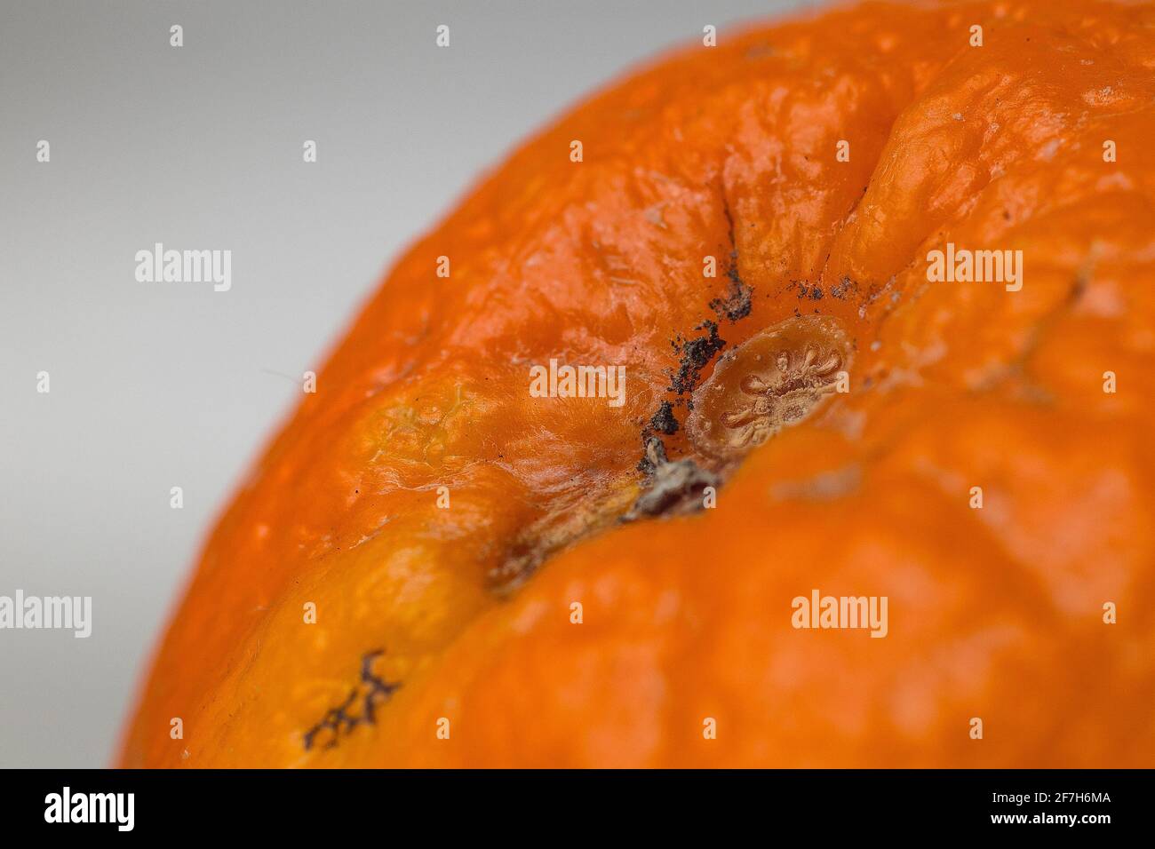 Orange skin up close hi-res stock photography and images - Alamy