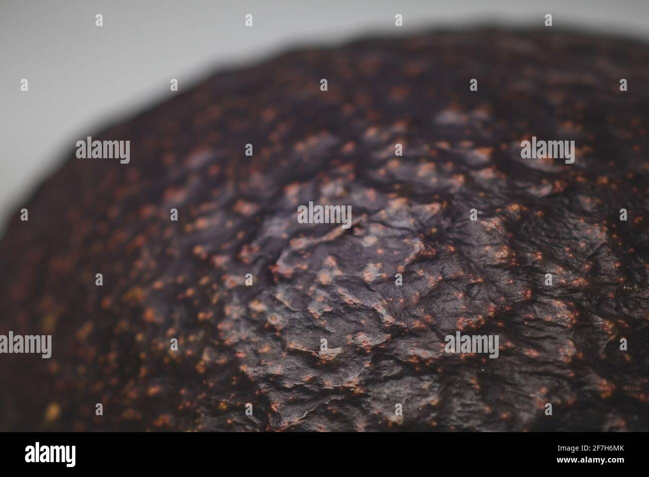 Avocado skin hi-res stock photography and images - Alamy