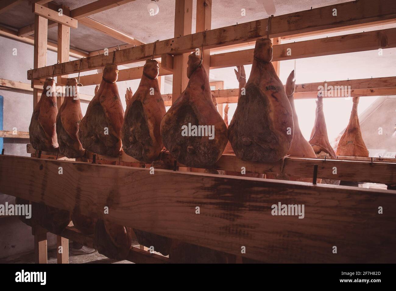 Drying pork legs or prosciutto, preparing legs with salt and leaving ...