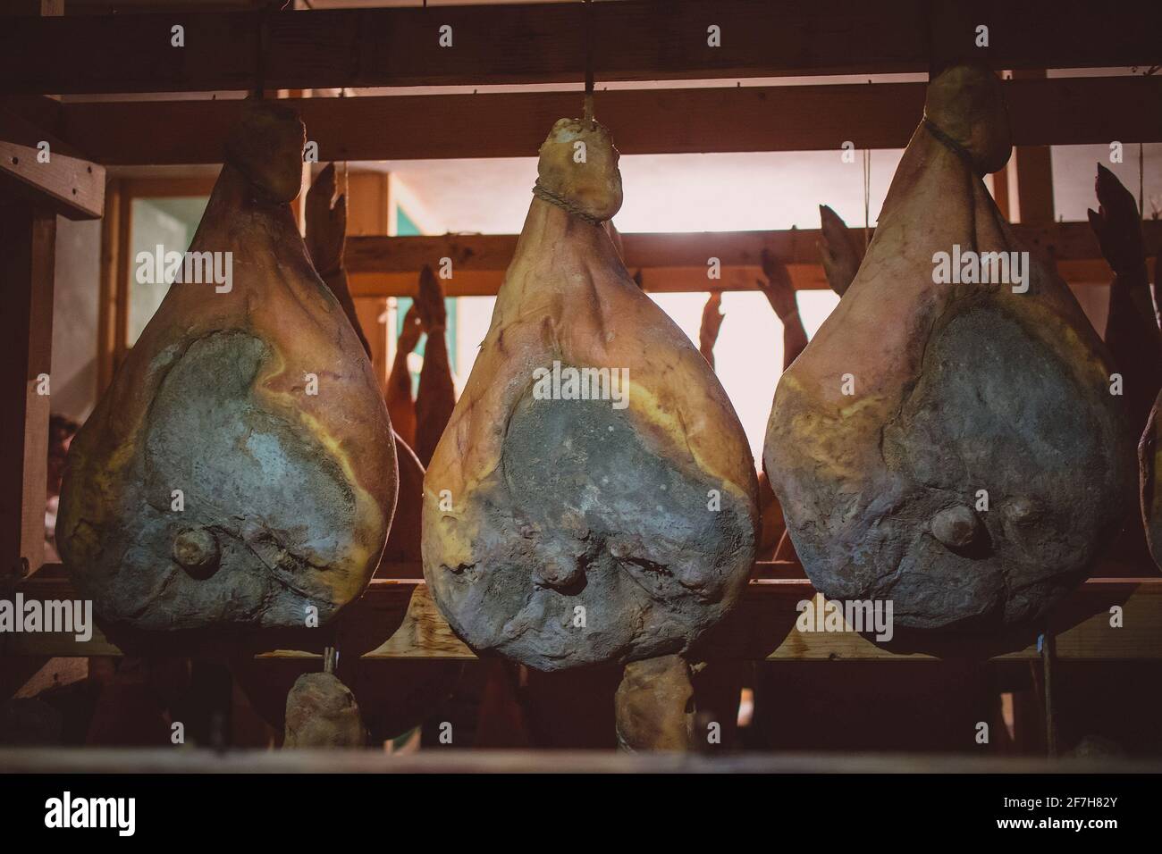 Drying pork legs or prosciutto, preparing legs with salt and leaving ...
