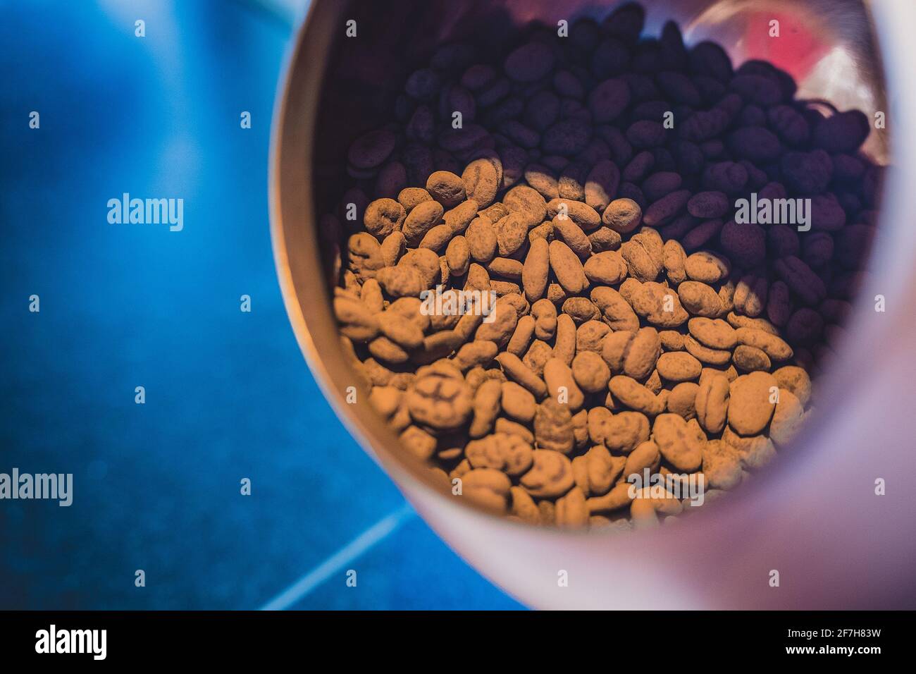 Raw chocolate beans in a container or cup. Blue background Stock Photo ...