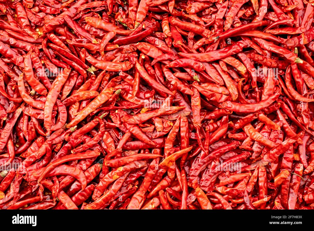 Chilli peppers drying hot hi-res stock photography and images - Alamy