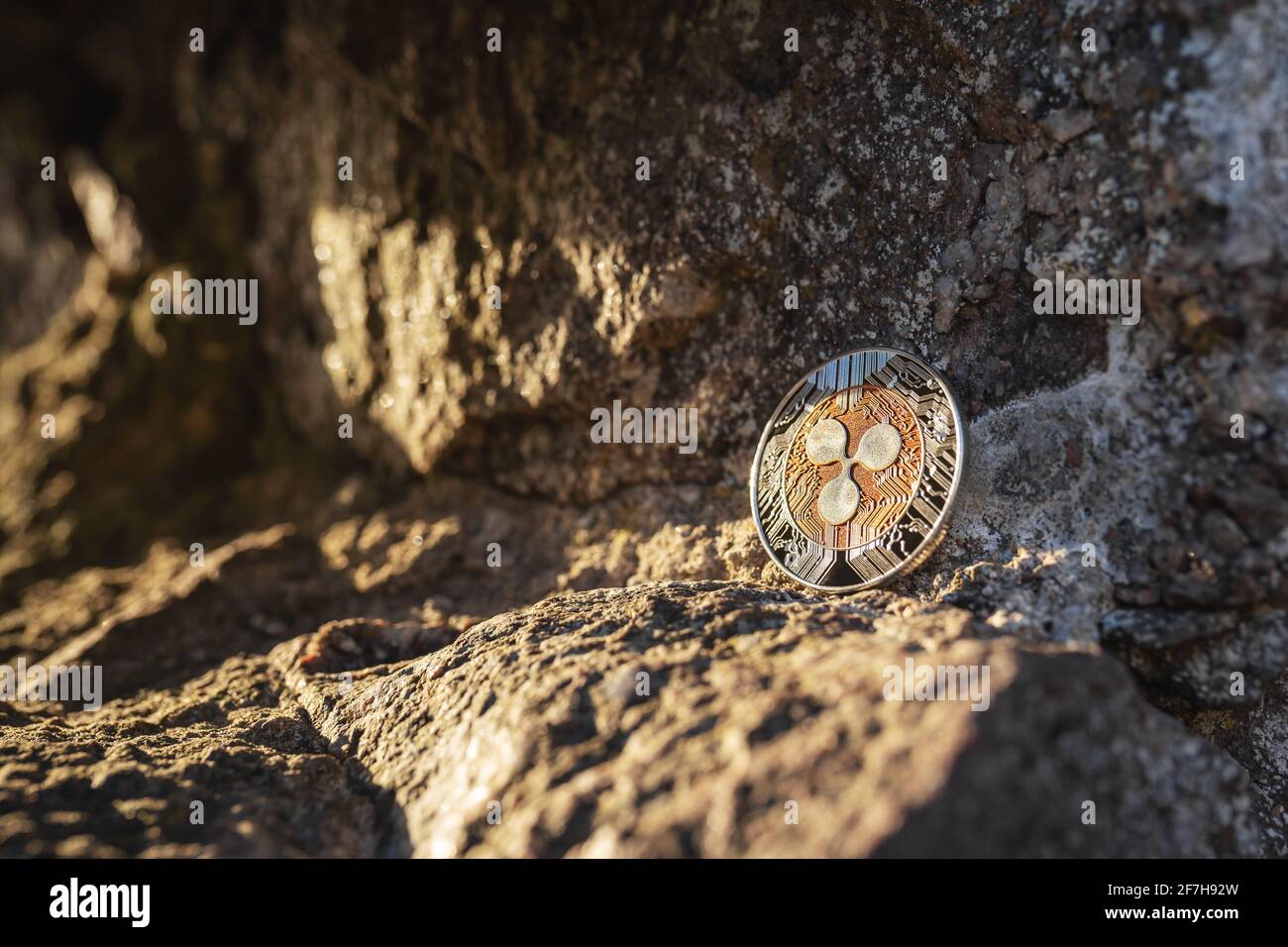 Close-up of XRP Ripple on a stone outdoor with soft sunset light on ...