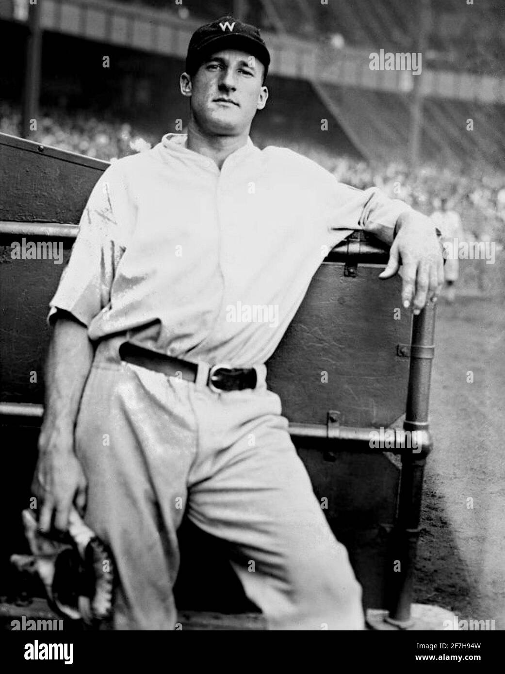 Goose Goslin High Resolution Stock Photography and Images - Alamy