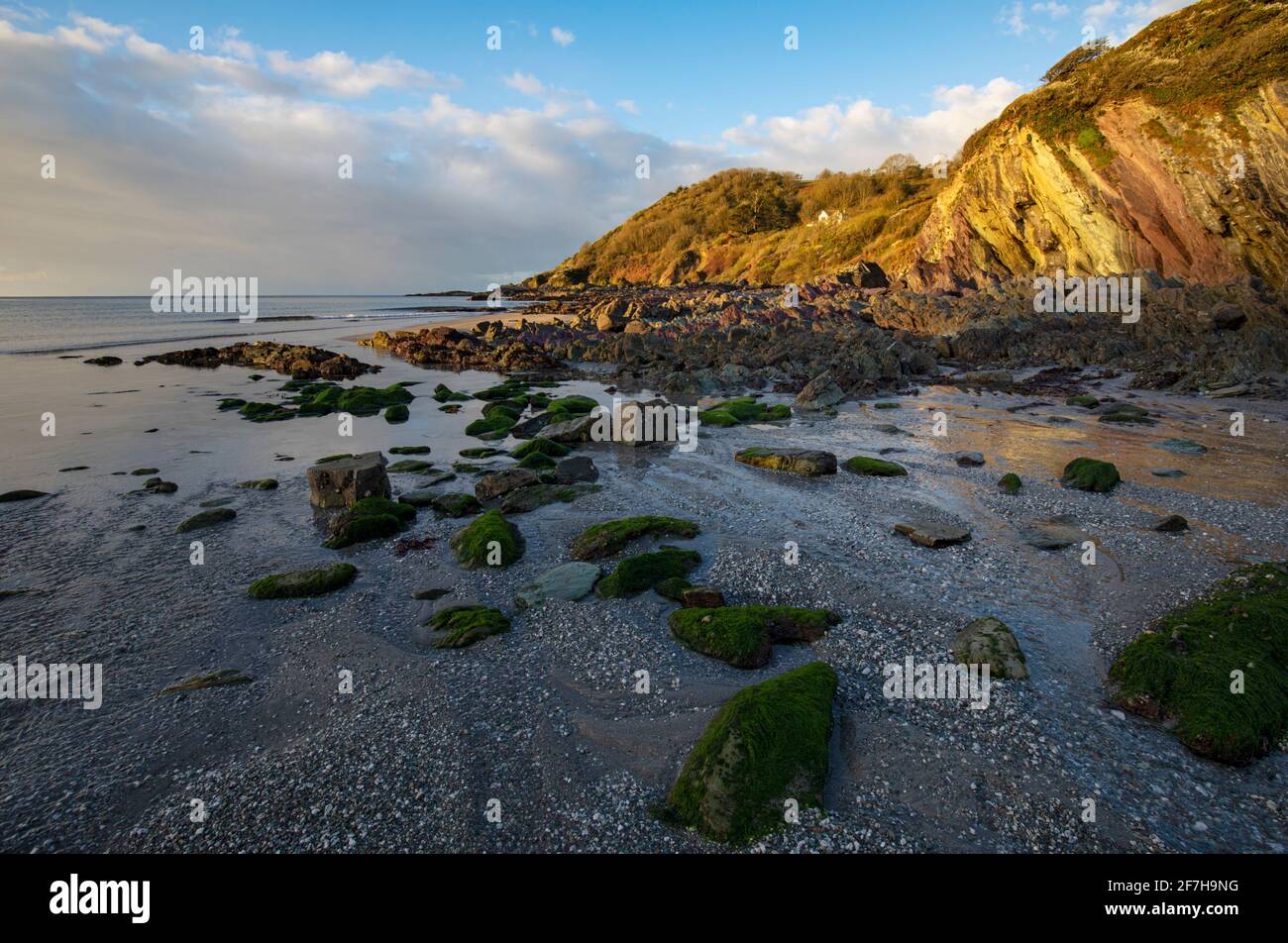 Talland bay beach hi-res stock photography and images - Alamy