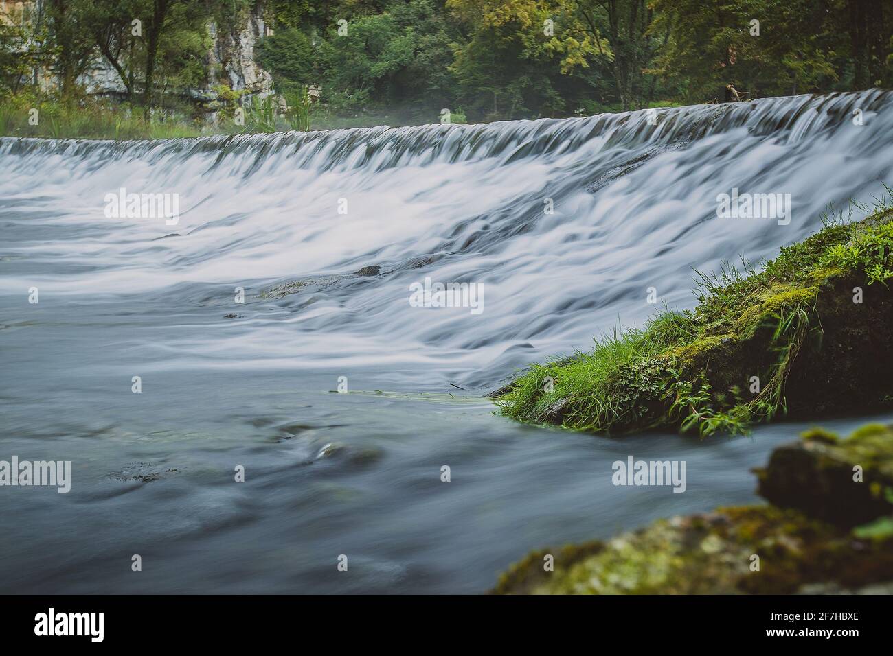 White Carniola High Resolution Stock Photography and Images - Alamy