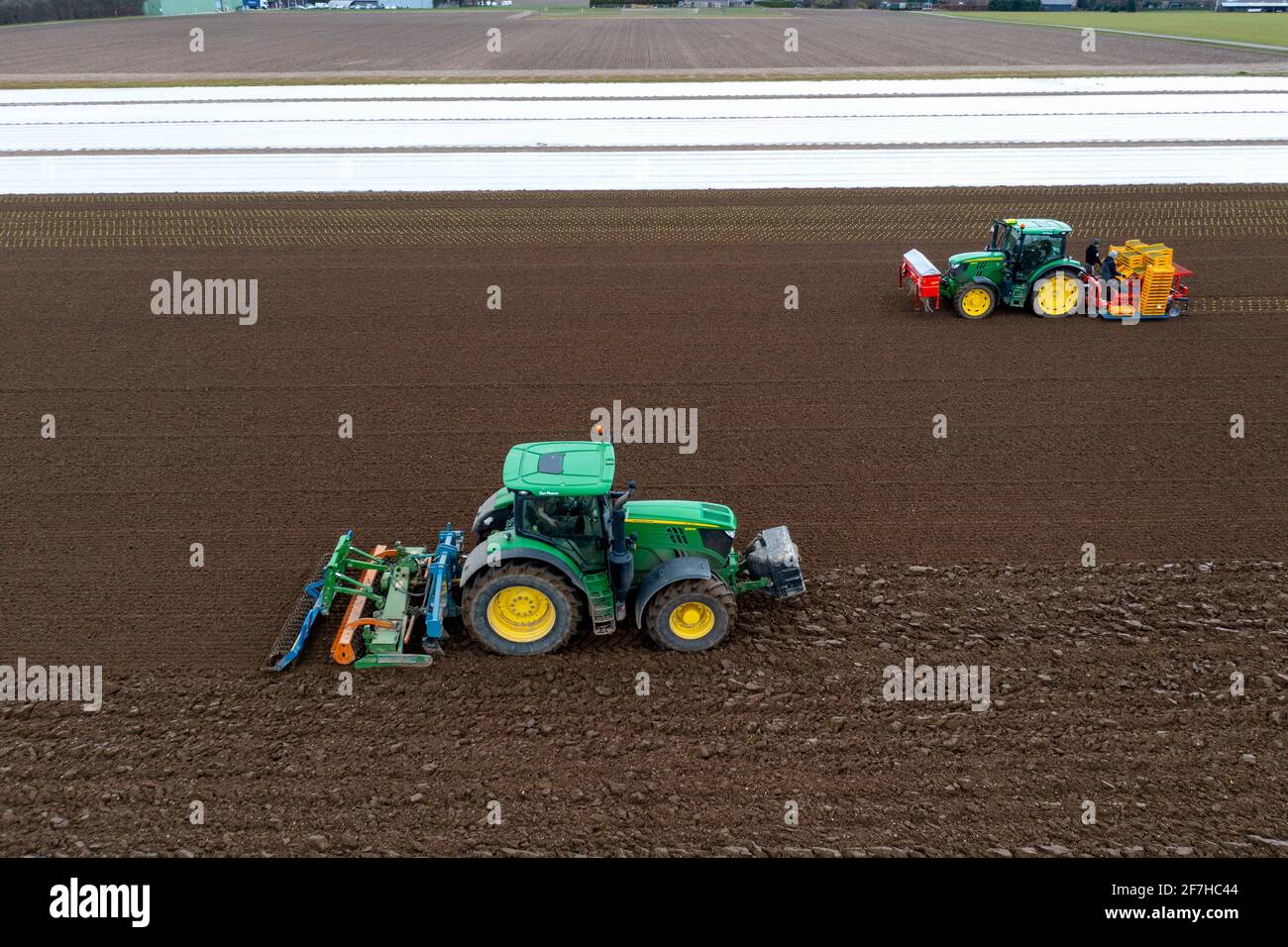 Lettuce plants are planted with a planter, tractor with power harrow ...