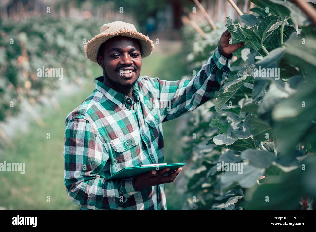 Smart farming africa hi-res stock photography and images - Alamy