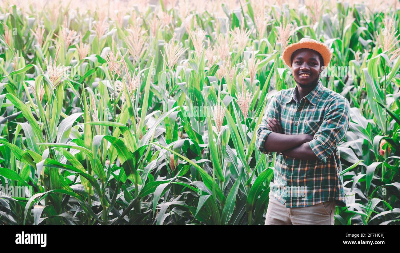 African farmer man standing at organic farm with smile and happy ...