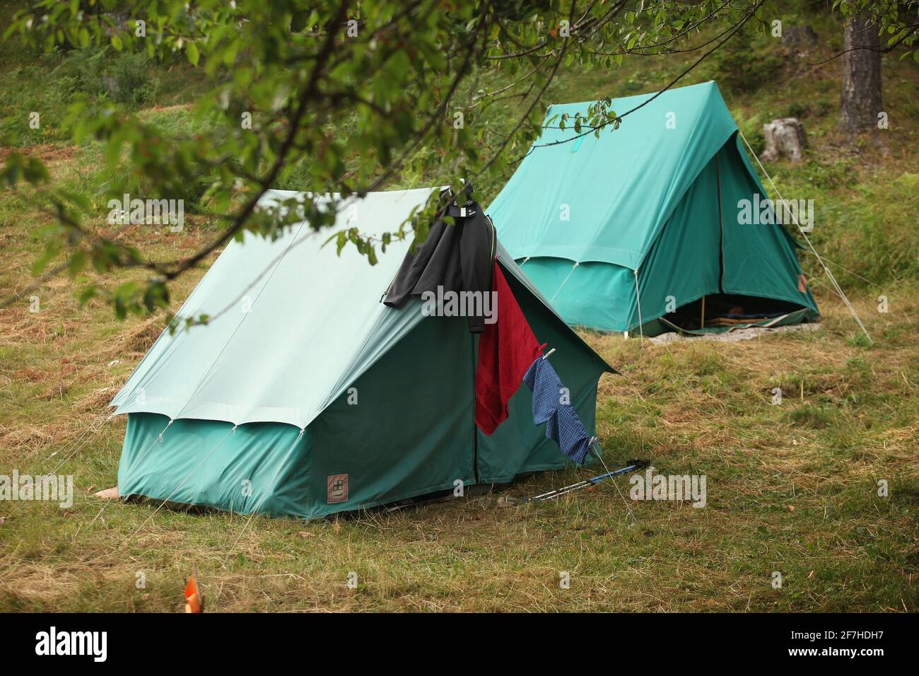 Two triangular tents in green color erected in nature. Some clothes are ...