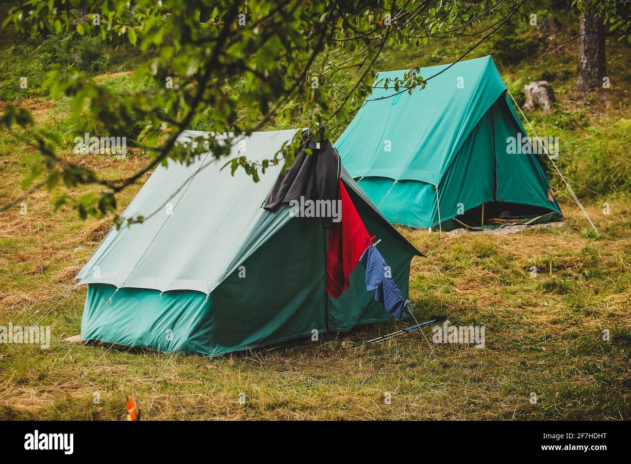 Two triangular tents in green color erected in nature. Some clothes are ...