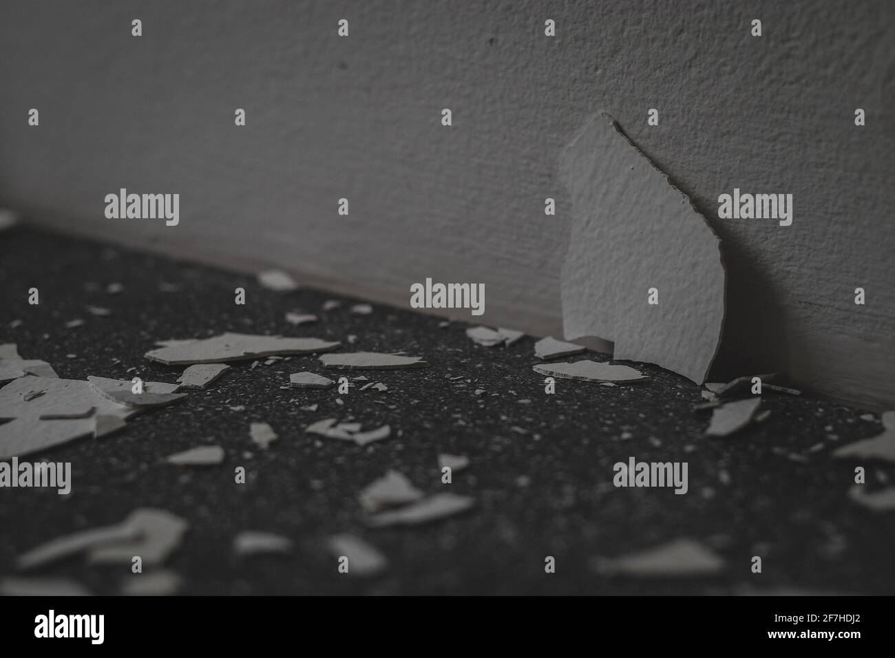 Chipped parts of wall or plaster sitting on the ground. Texture of ...