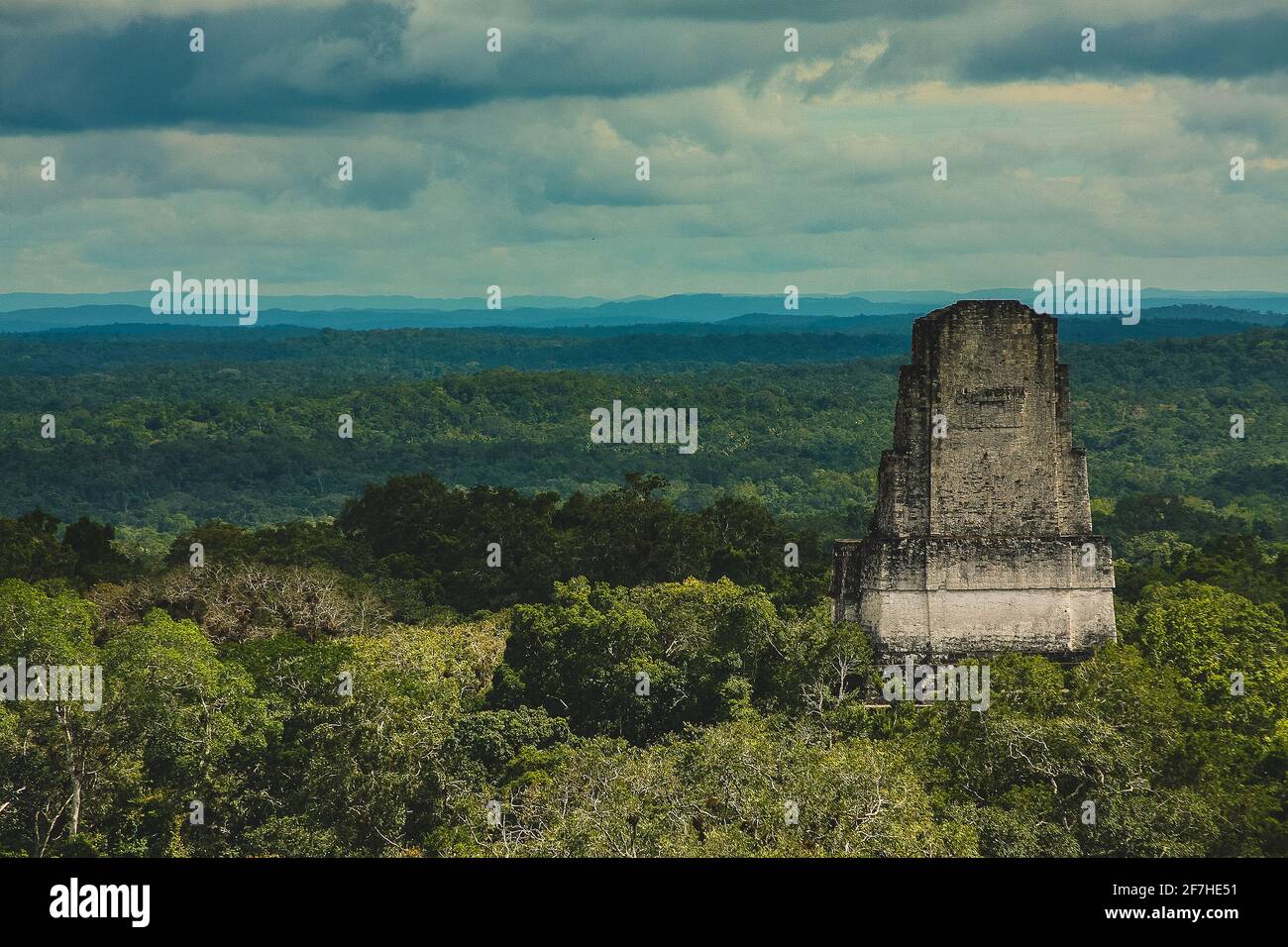 Panorama of the ruins and pyramids in then national park of Tikal in ...