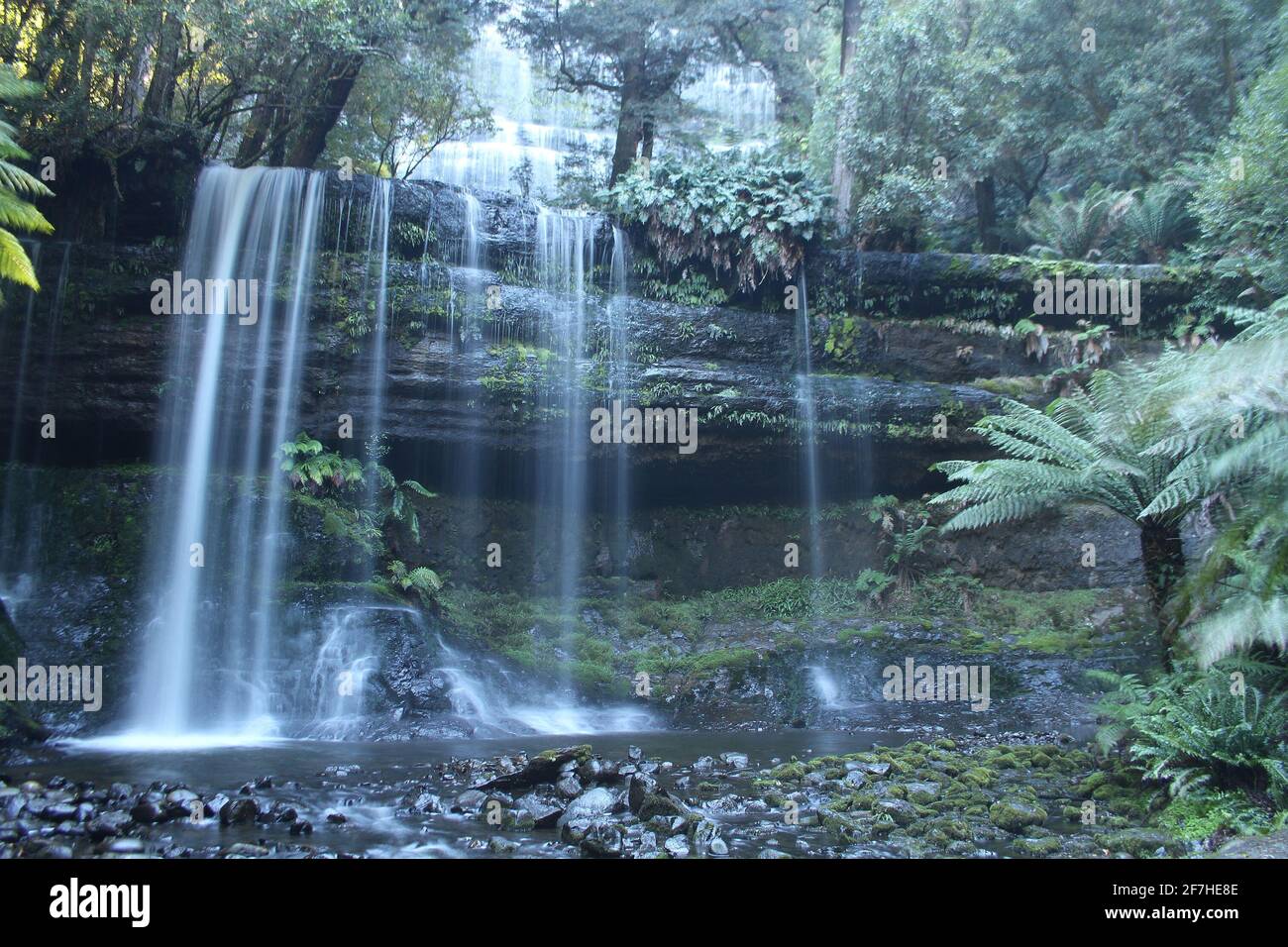 Russell River National Park High Resolution Stock Photography and ...